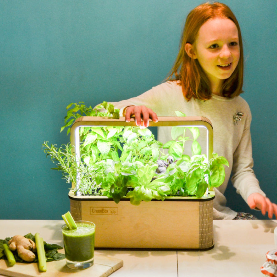 The GreenBox Smart Indoor Garden for home and office – Flowers of Vice